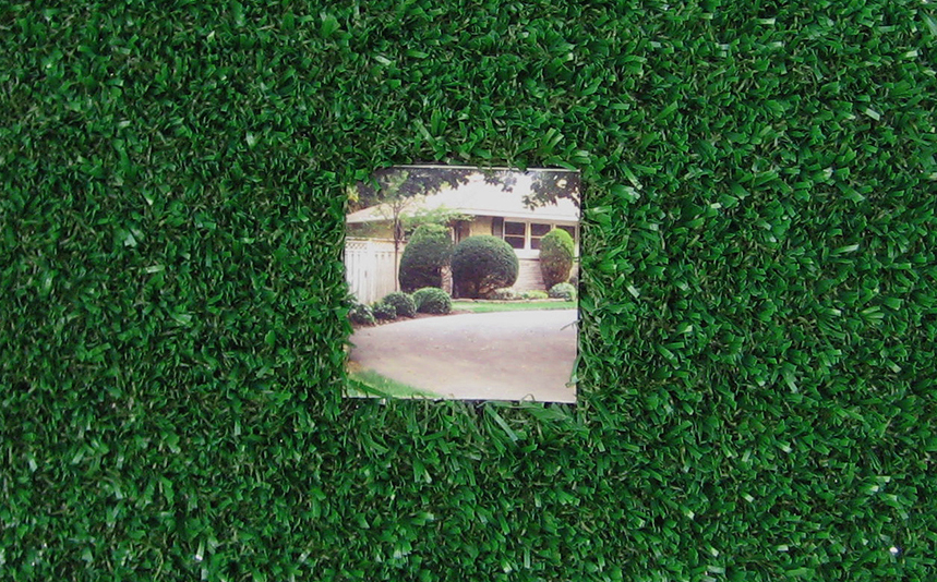 Shows & News - Virginia Fifield