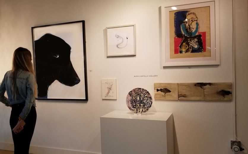 EXHIBITIONS - Virginia Fifield
