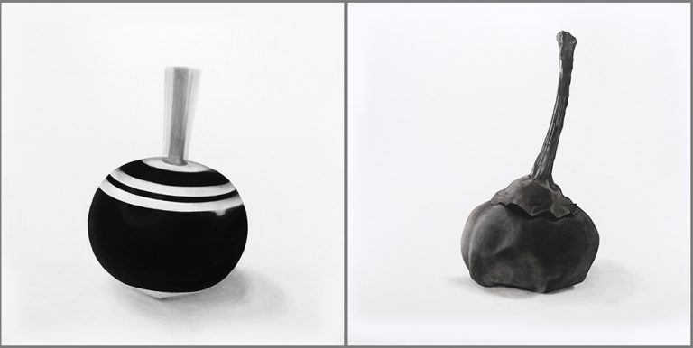 Shows & News - Virginia Fifield