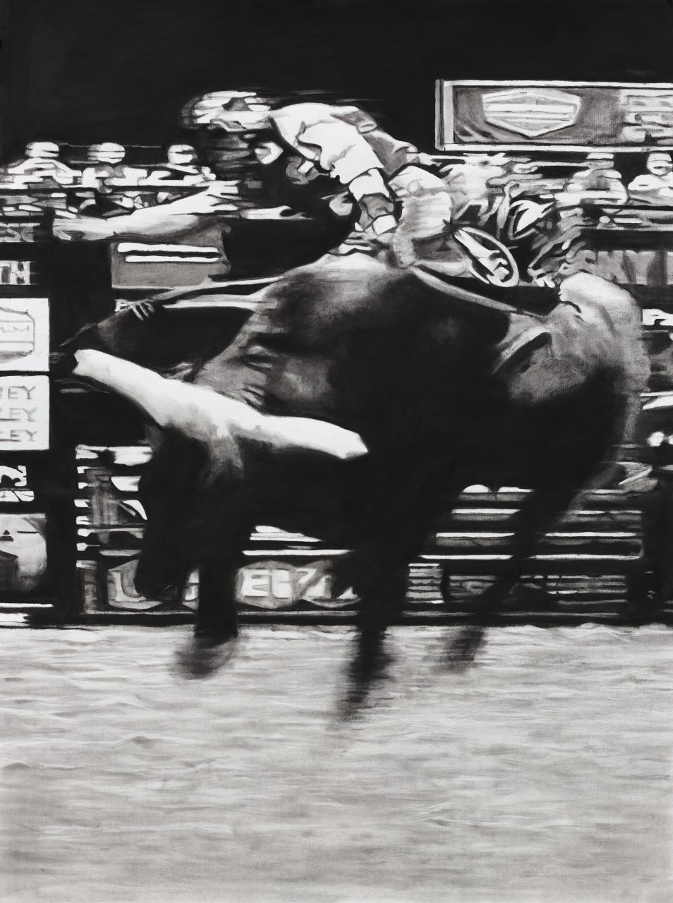 SKY - Virginia Fifield