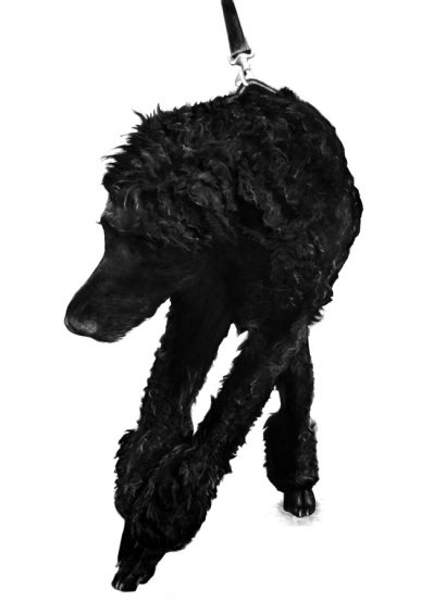 Tension - Virginia Fifield